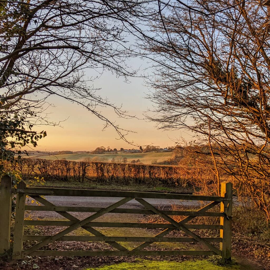 How to Create a Farm Gate Entrance That Welcomes With Rustic Style