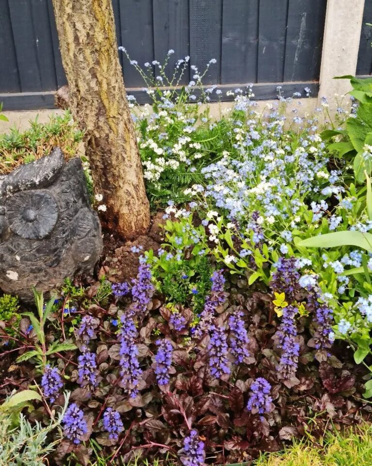 How to Transform the Space Under Your Trees With Beautiful Landscaping